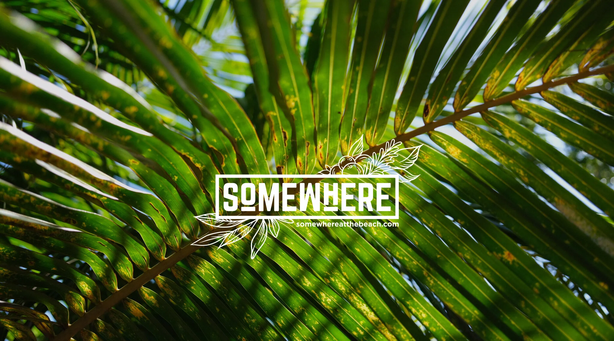 Somewhere