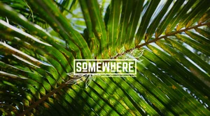 Somewhere