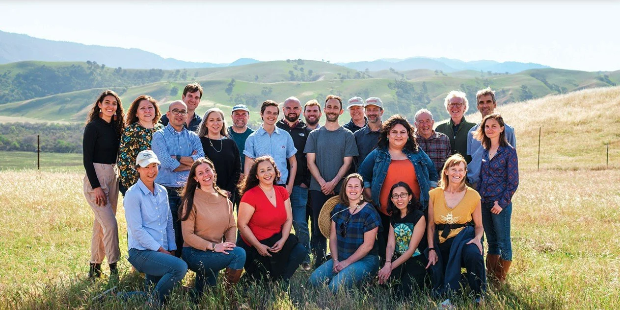 Friedman Associates: Leading CDFI Consultants