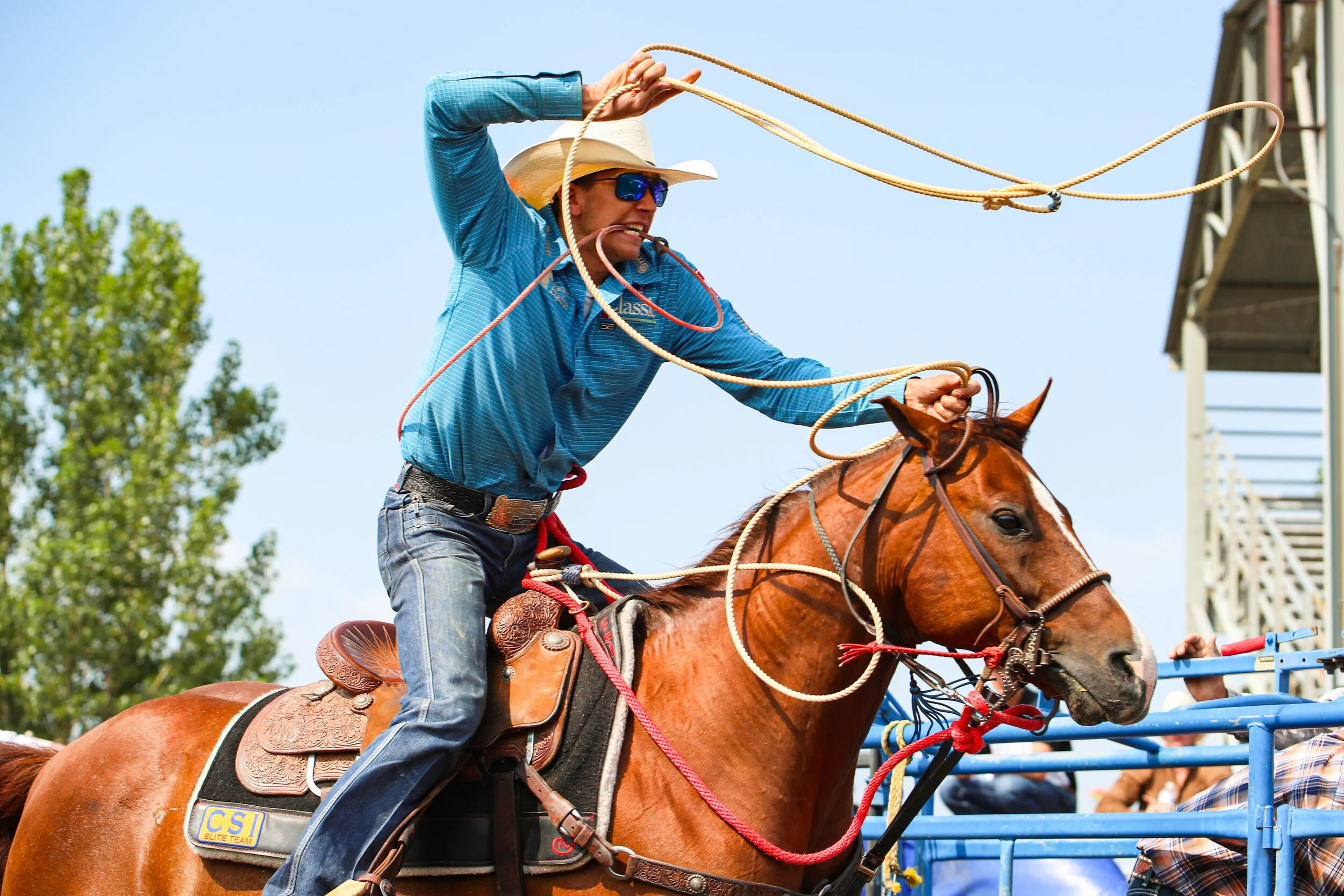 Portfolio — Montana Ag