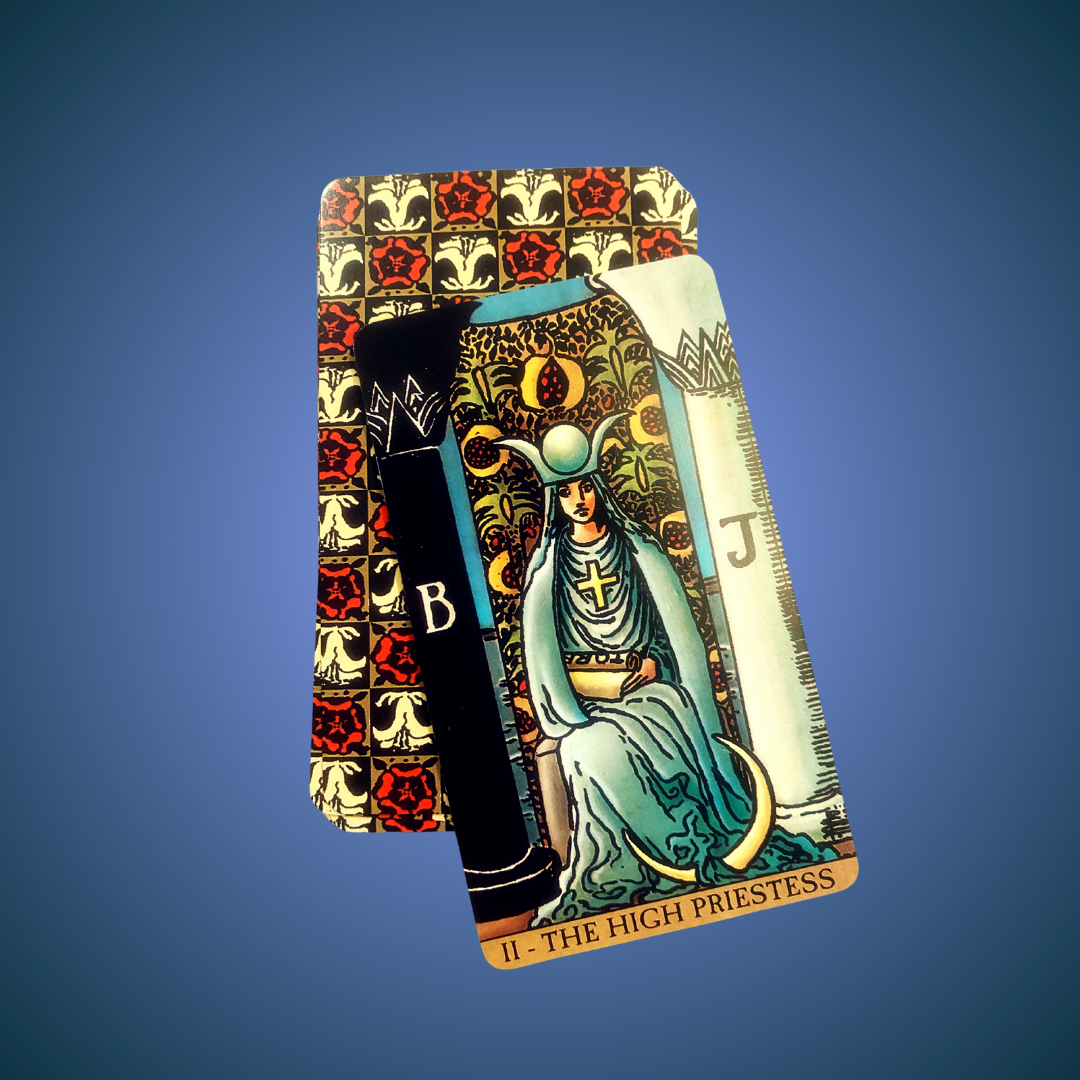 Appointments — Vivien Monroe