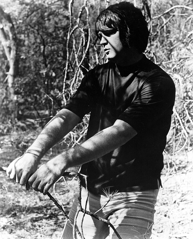 1966 | Discover Brian Wilson’s Legacy — Brian Wilson