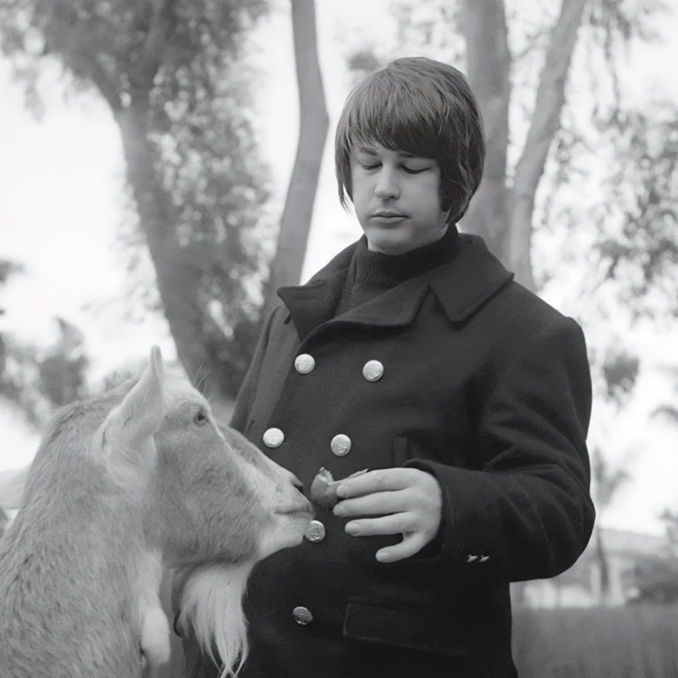 Brian Wilson | Discover Brian Wilson’s Legacy Today — Brian Wilson