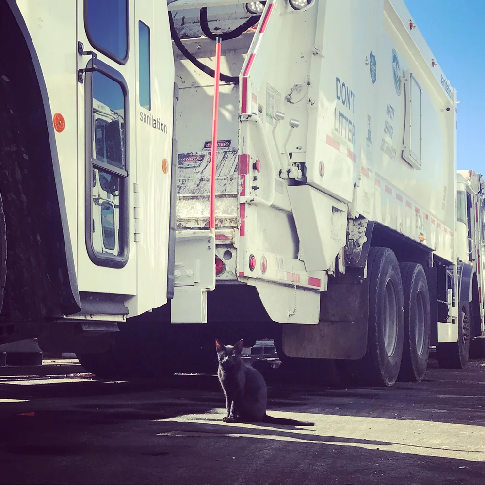 Alexander Robb — Sanitation Foundation