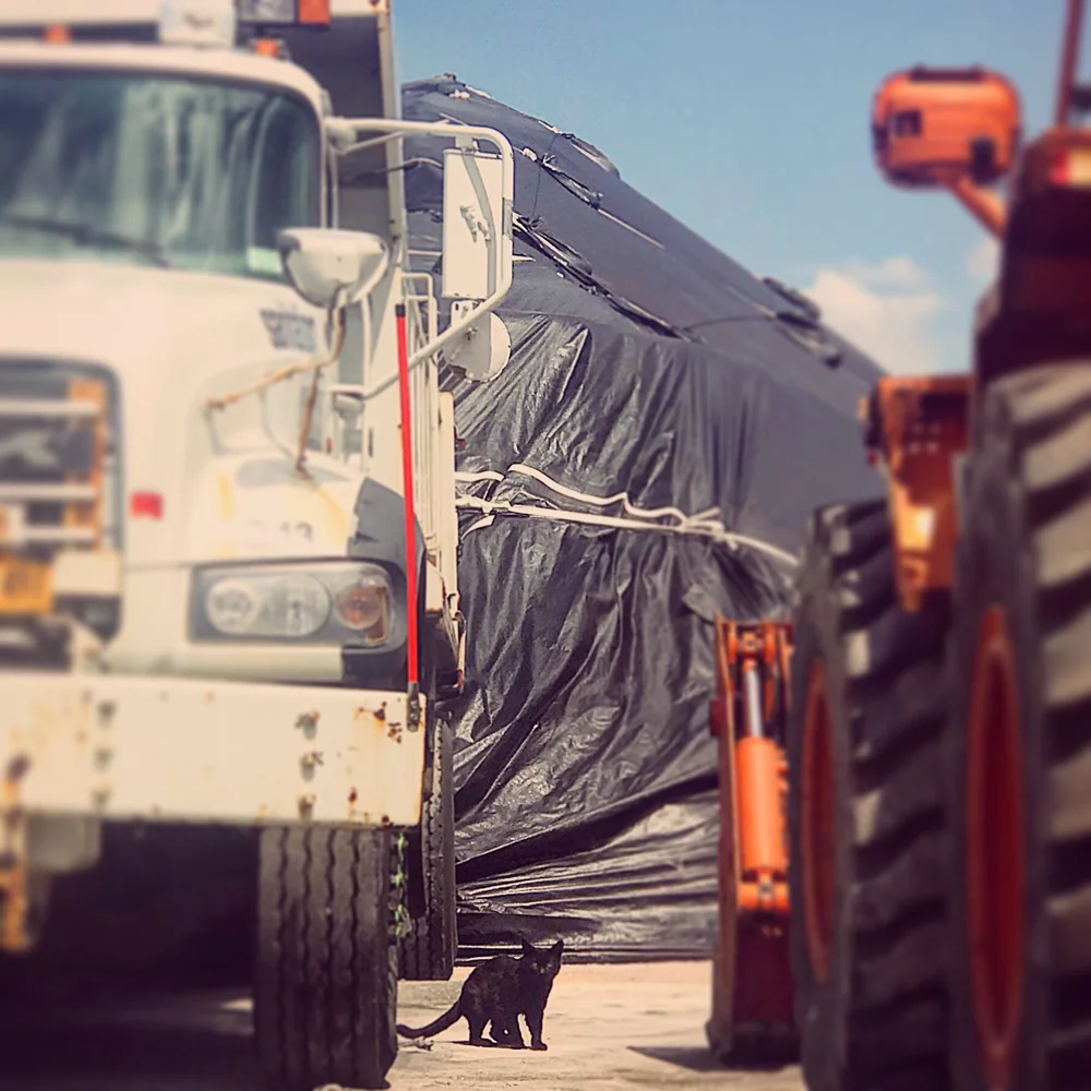 Alexander Robb — Sanitation Foundation