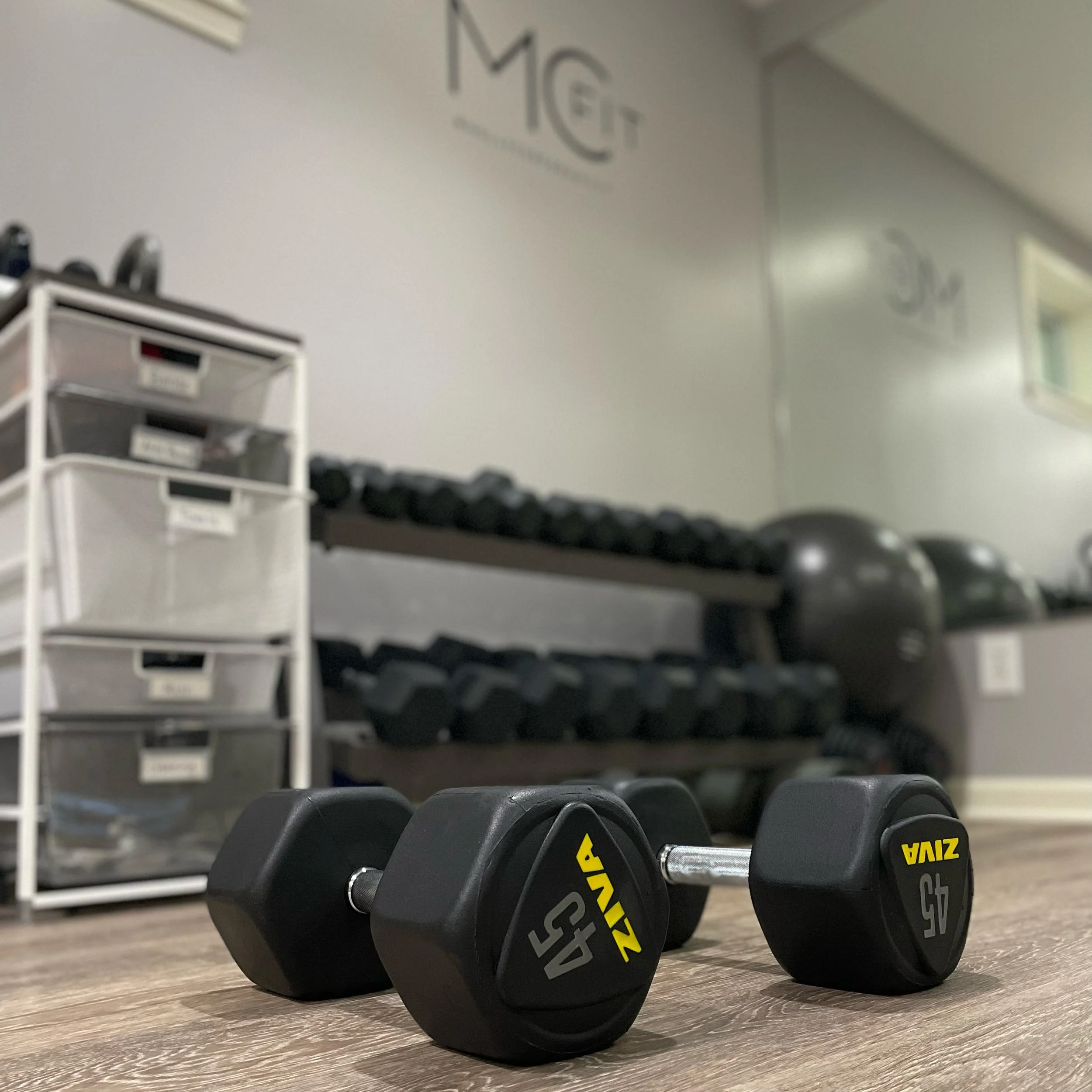 My Programs — Molly Corcoran Fit