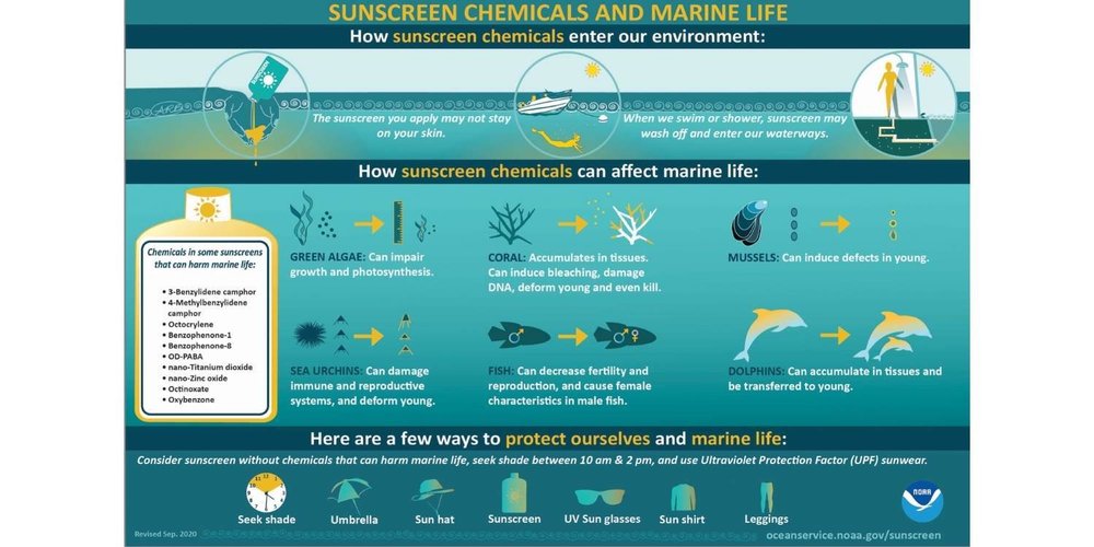 Top 8 Vegan And Reef Safe Sunscreen Brands — OopsVegan
