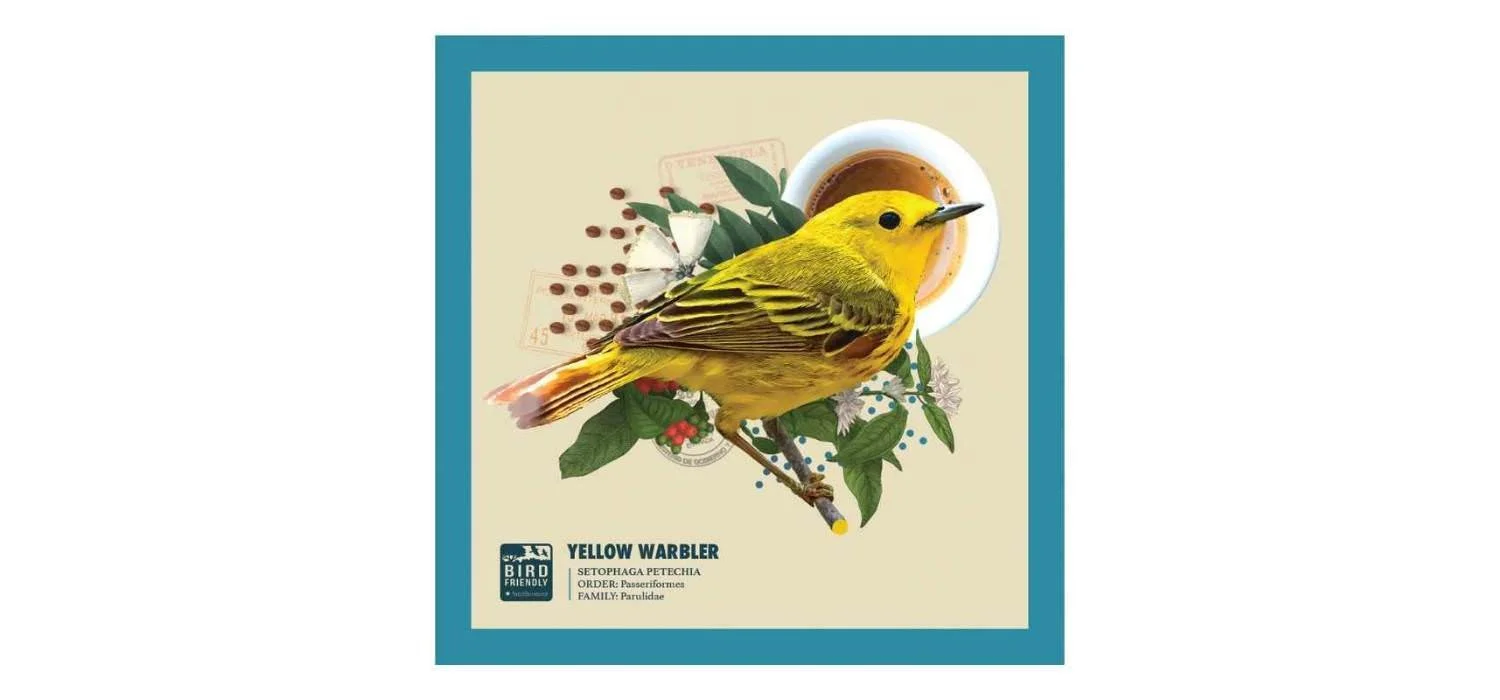 10 Bird-Friendly Coffee To Help You Sip Sustainably — OopsVegan
