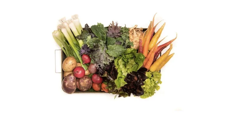 Best 6 Imperfect Produce Subscription Boxes To Try! — OopsVegan