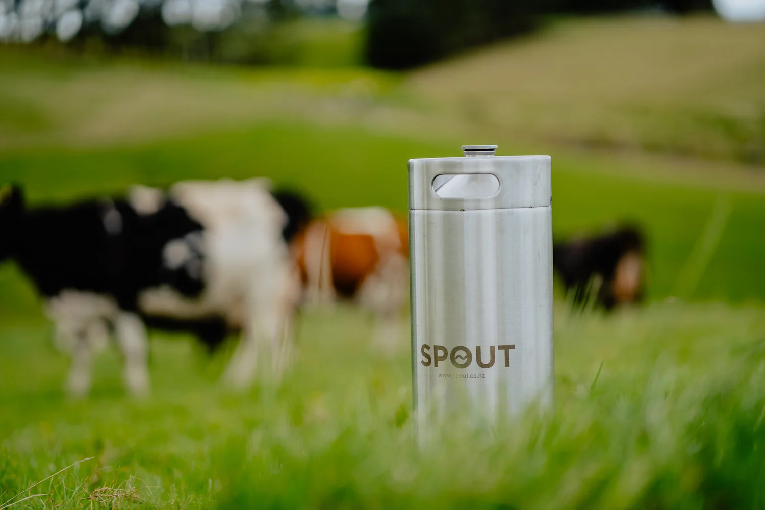 Spout Milk