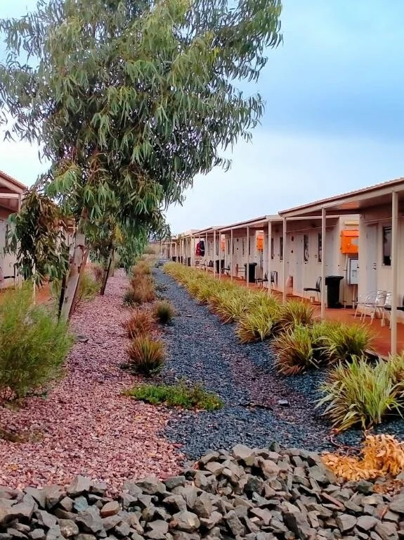 BHP Mulla Mulla | Recent Outback Trees Projects — Outback Trees of ...