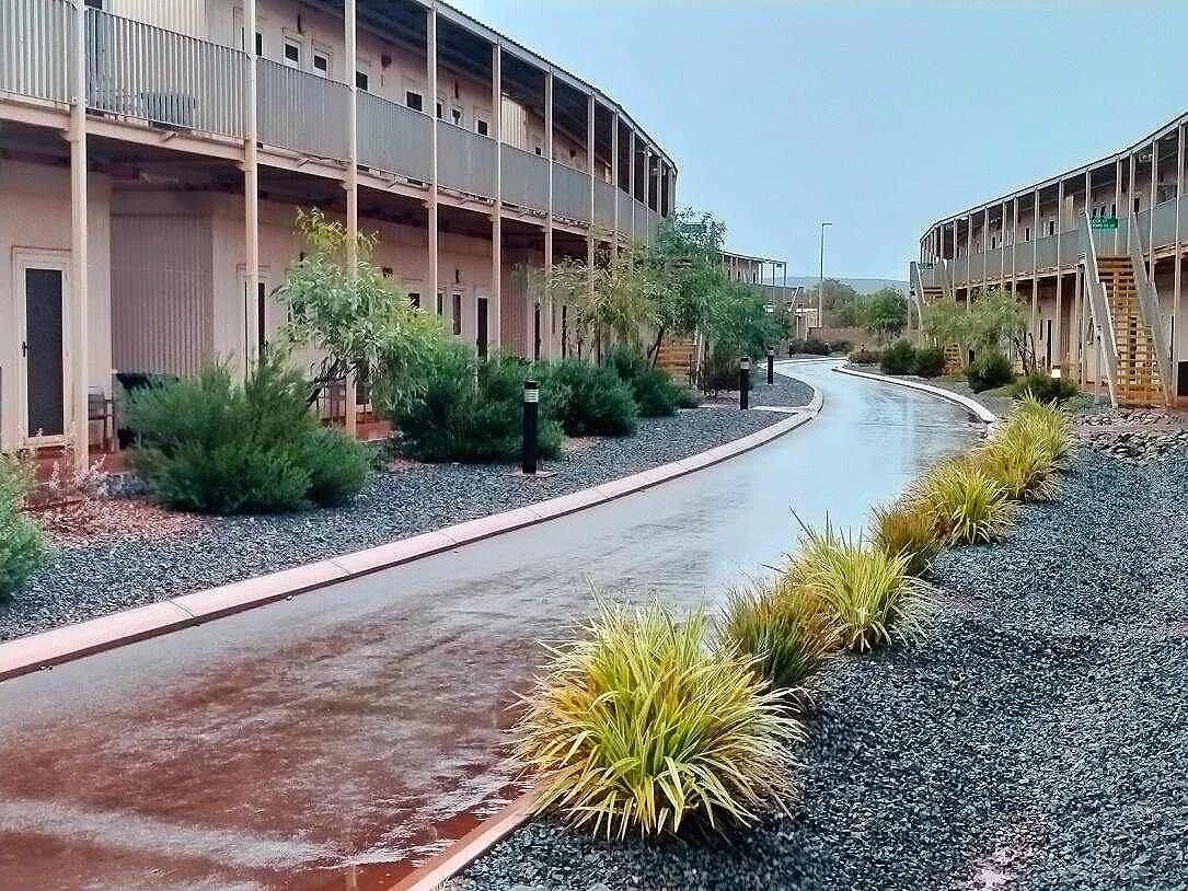Outback Trees of Australia | Commercial Landscaping Western Australia