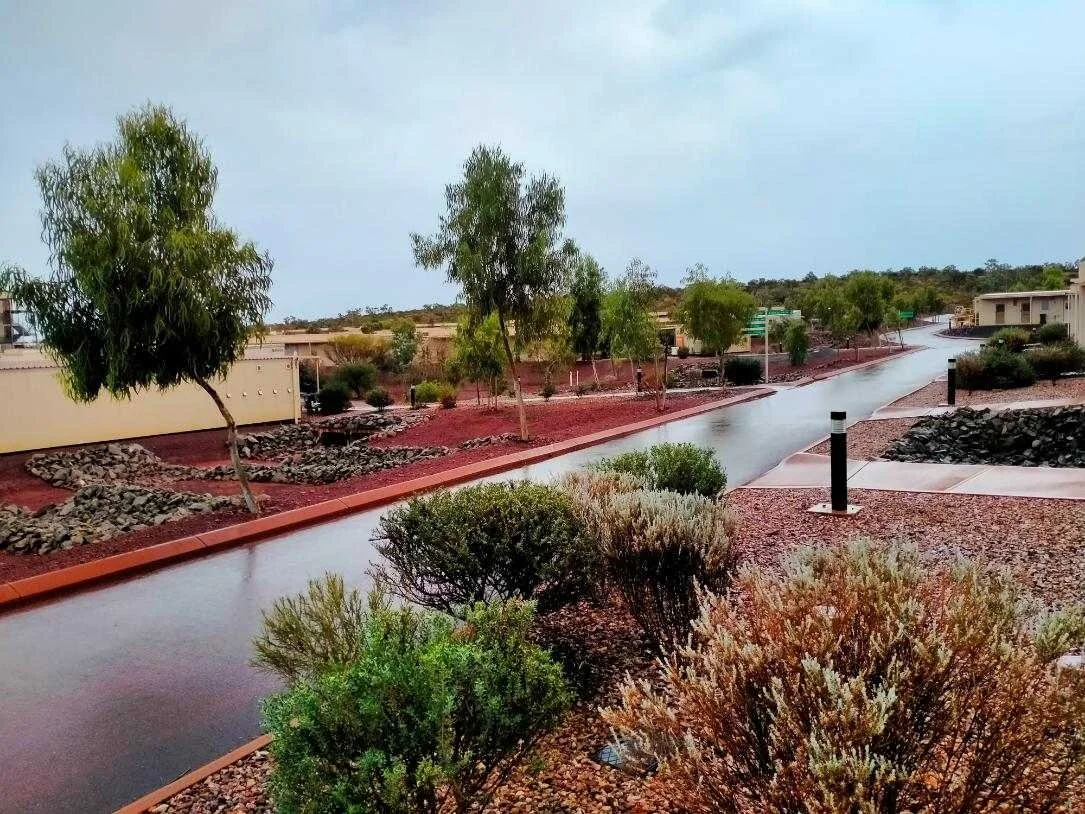 BHP Mulla Mulla | Recent Outback Trees Projects — Outback Trees of ...