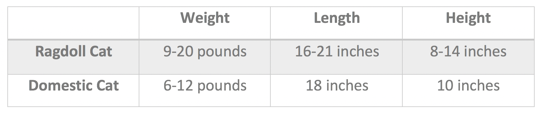 How Big Are Ragdoll Cats? - Ragdoll Size Chart — Ragdoll Kittens For ...