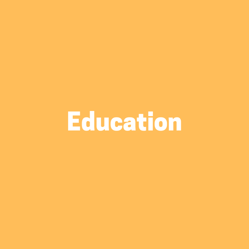 Education Alliance Action Arts