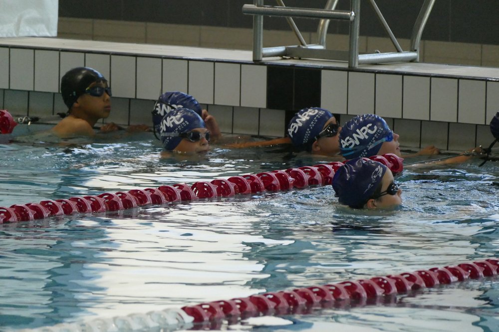 Swimming — Andover Swimming and Water Polo Club