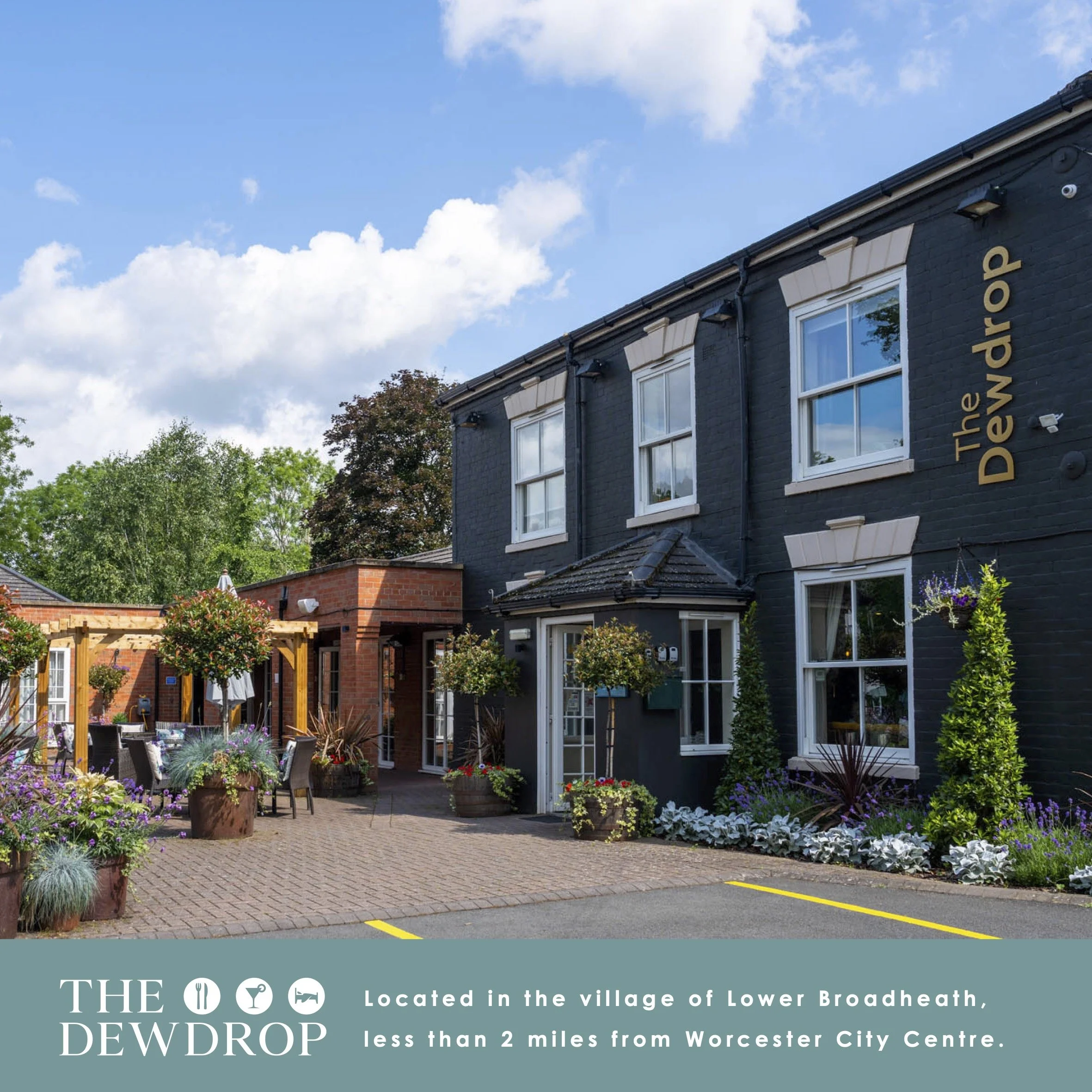 Newsletter — The Dewdrop Inn