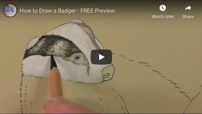 How to Draw a Badger - FREE Preview — The Colin Bradley School of Art