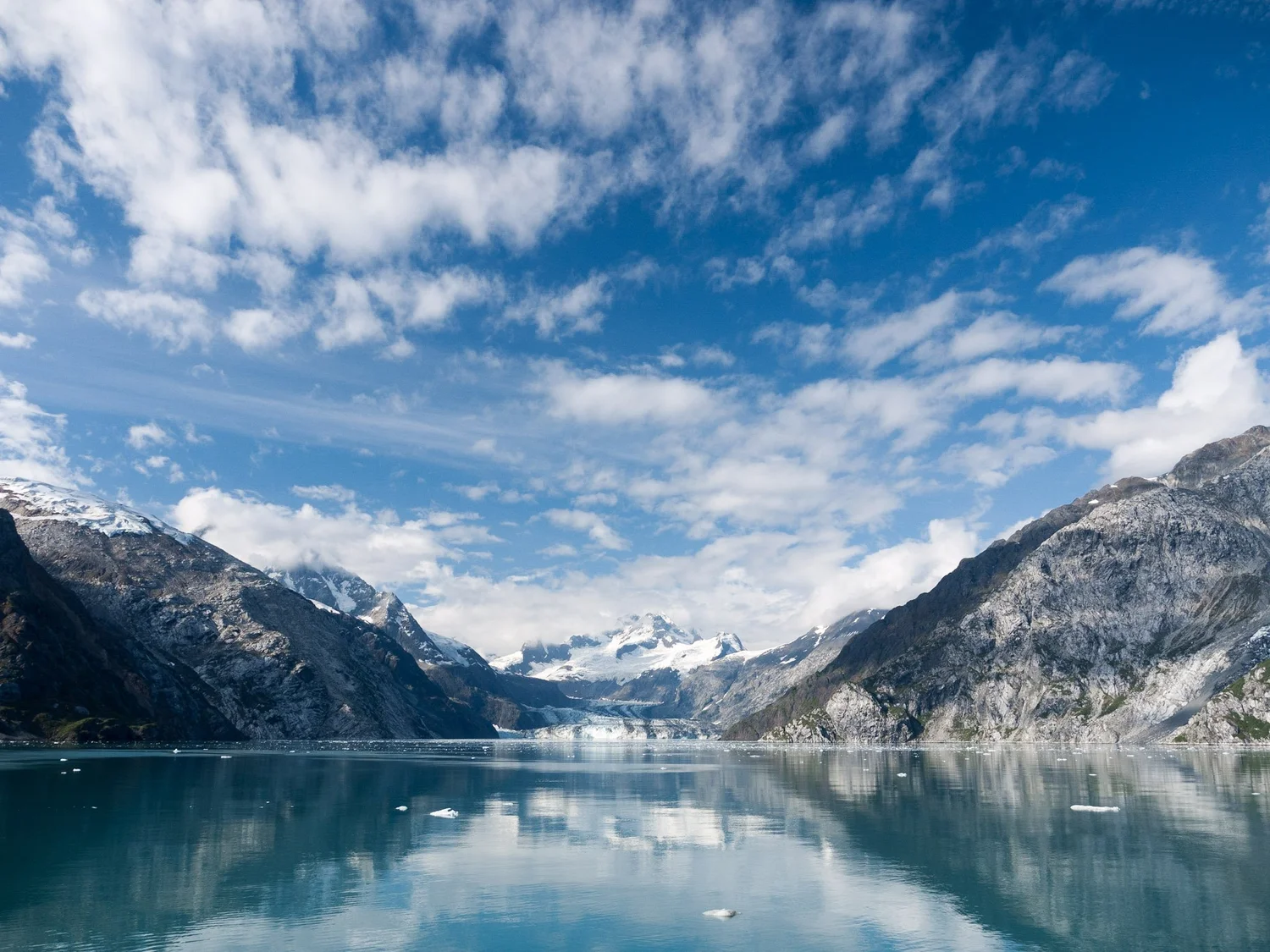 Free Reference Photos for Artists. Copyright Free. — The Colin Bradley ...