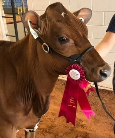 Old Home Week — PEI Association of Exhibitions