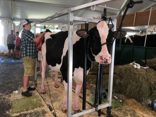 Old Home Week — PEI Association of Exhibitions