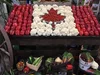 Old Home Week — PEI Association of Exhibitions