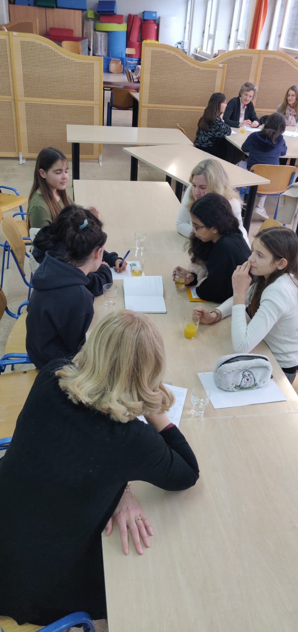 Labellisation E3D : en route ! — École française internationale de Zagreb