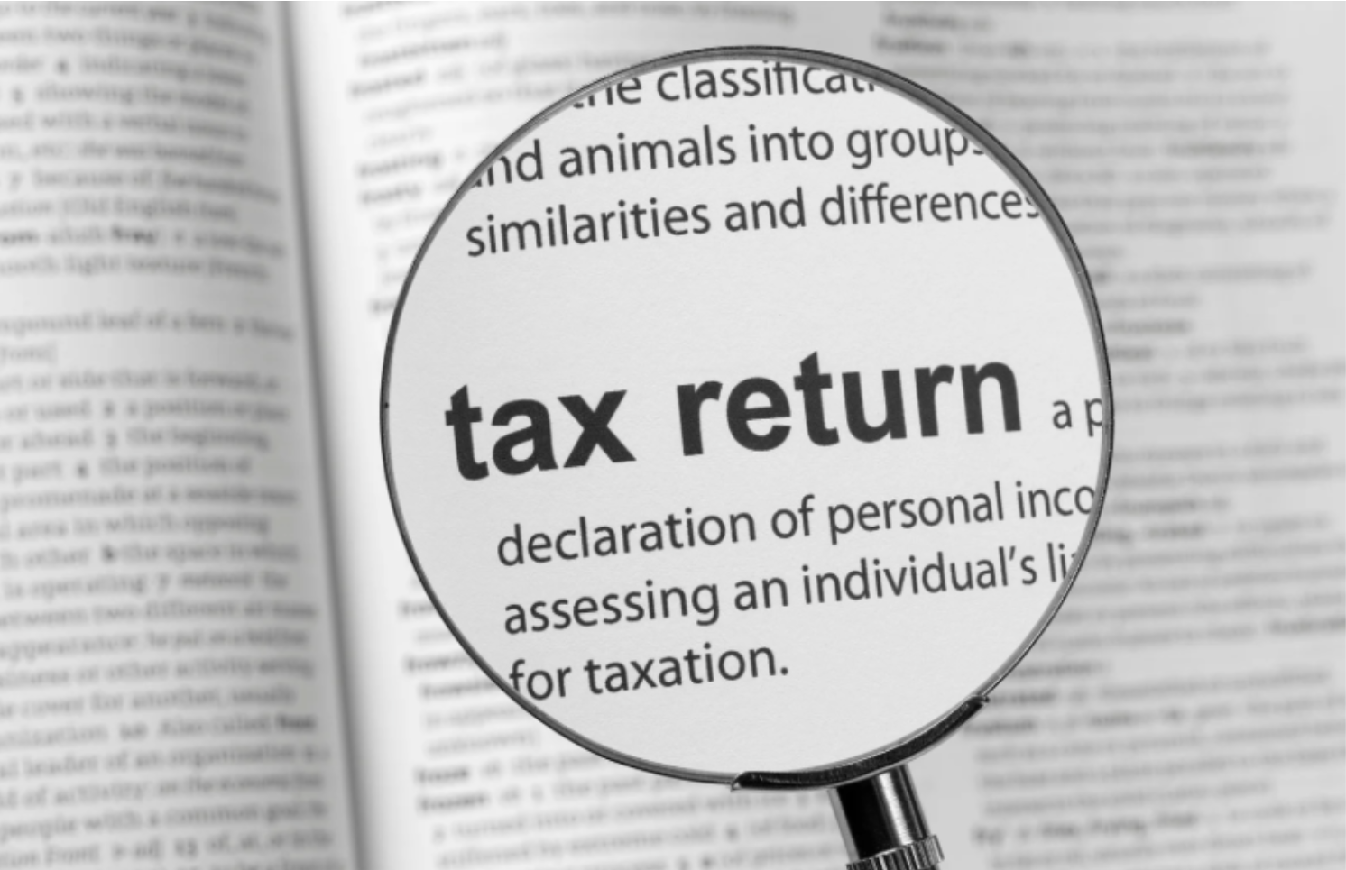 How to Read and Understand Your IRS Transcript or Tax Return — kmt ...
