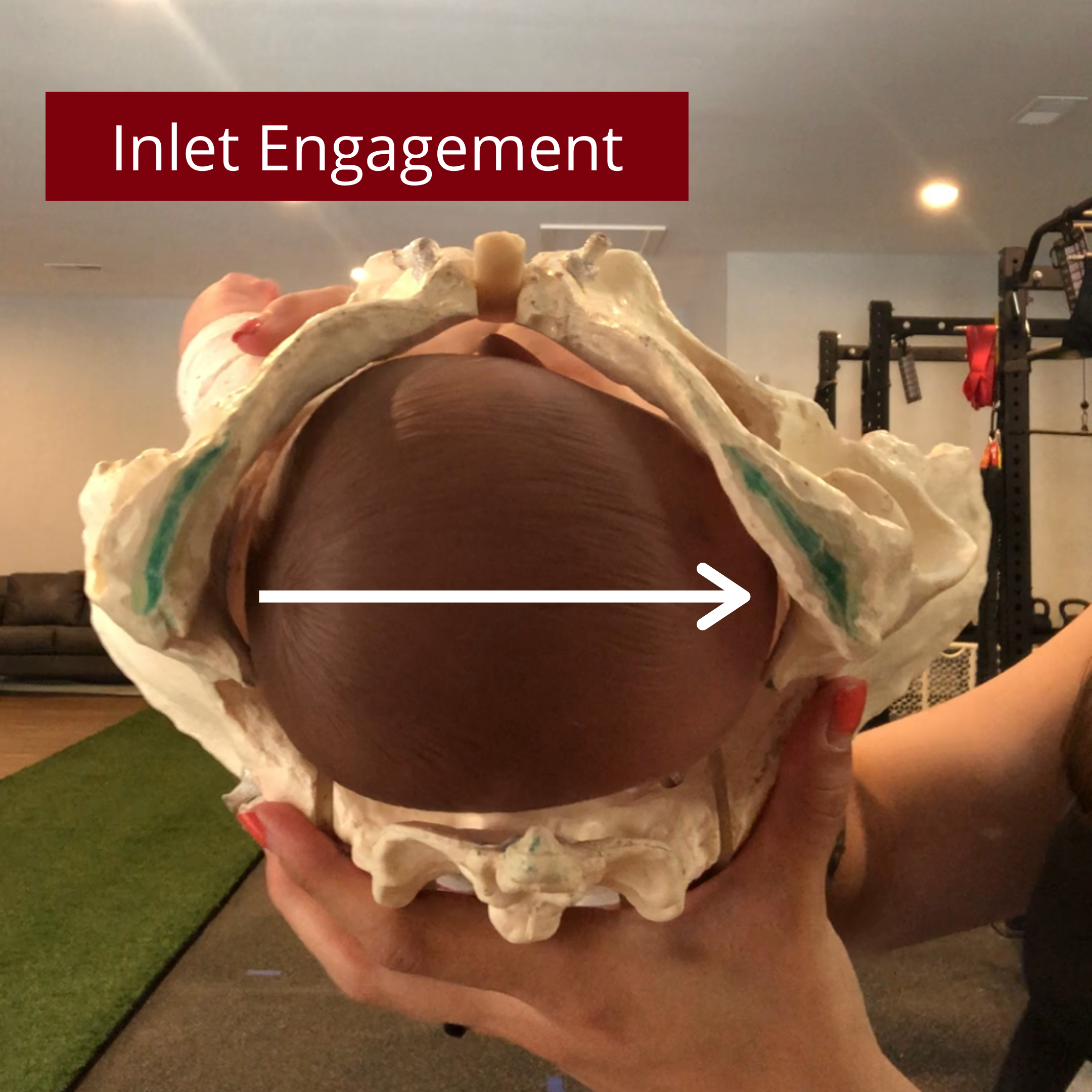 The Midpelvis: Two Pelvic Levels - MamasteFit