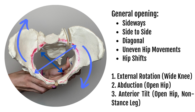 The Midpelvis Two Pelvic Levels Mamastefit
