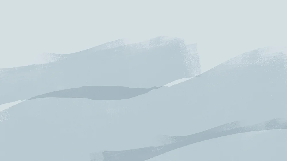 About — Wellspring Group