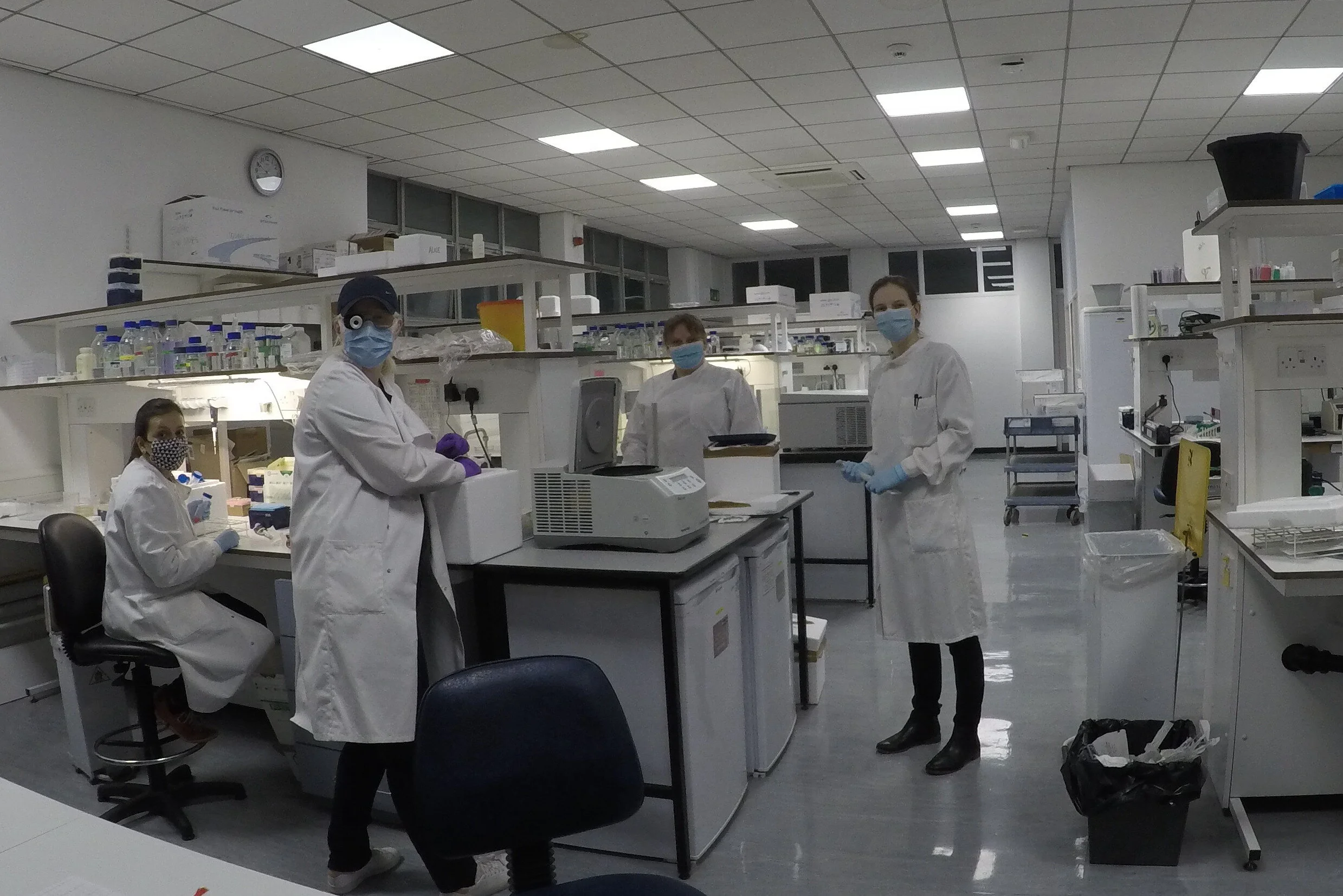 TeamTAPBPR news — Boyle lab.