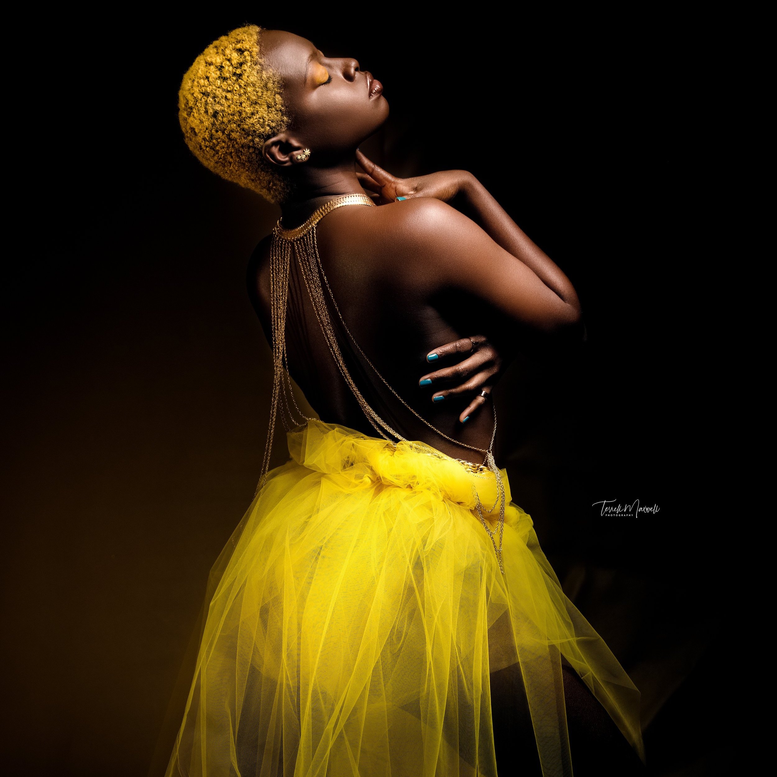 Terrell Maxwell Media LLC