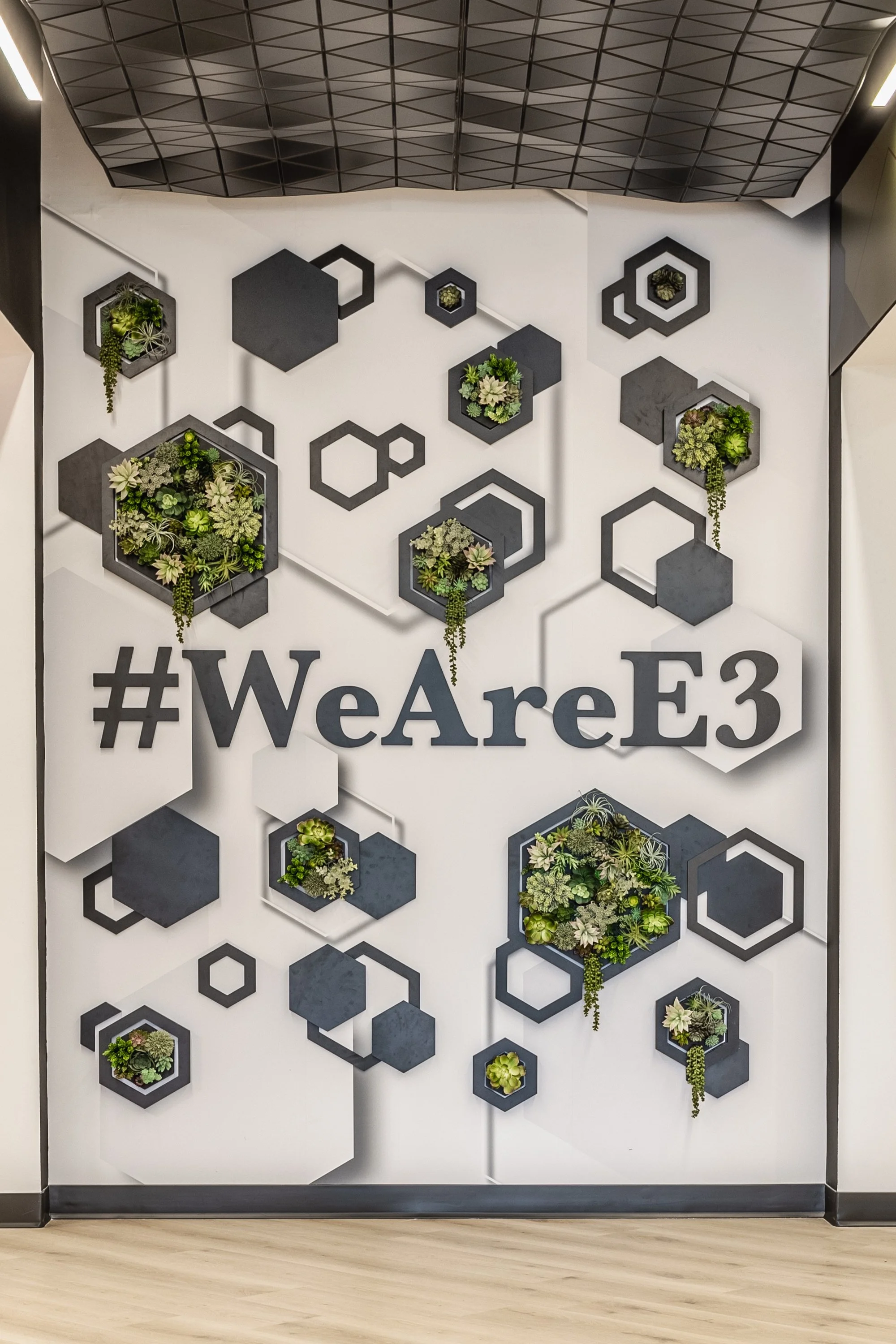 Studio M Architecture and Planning