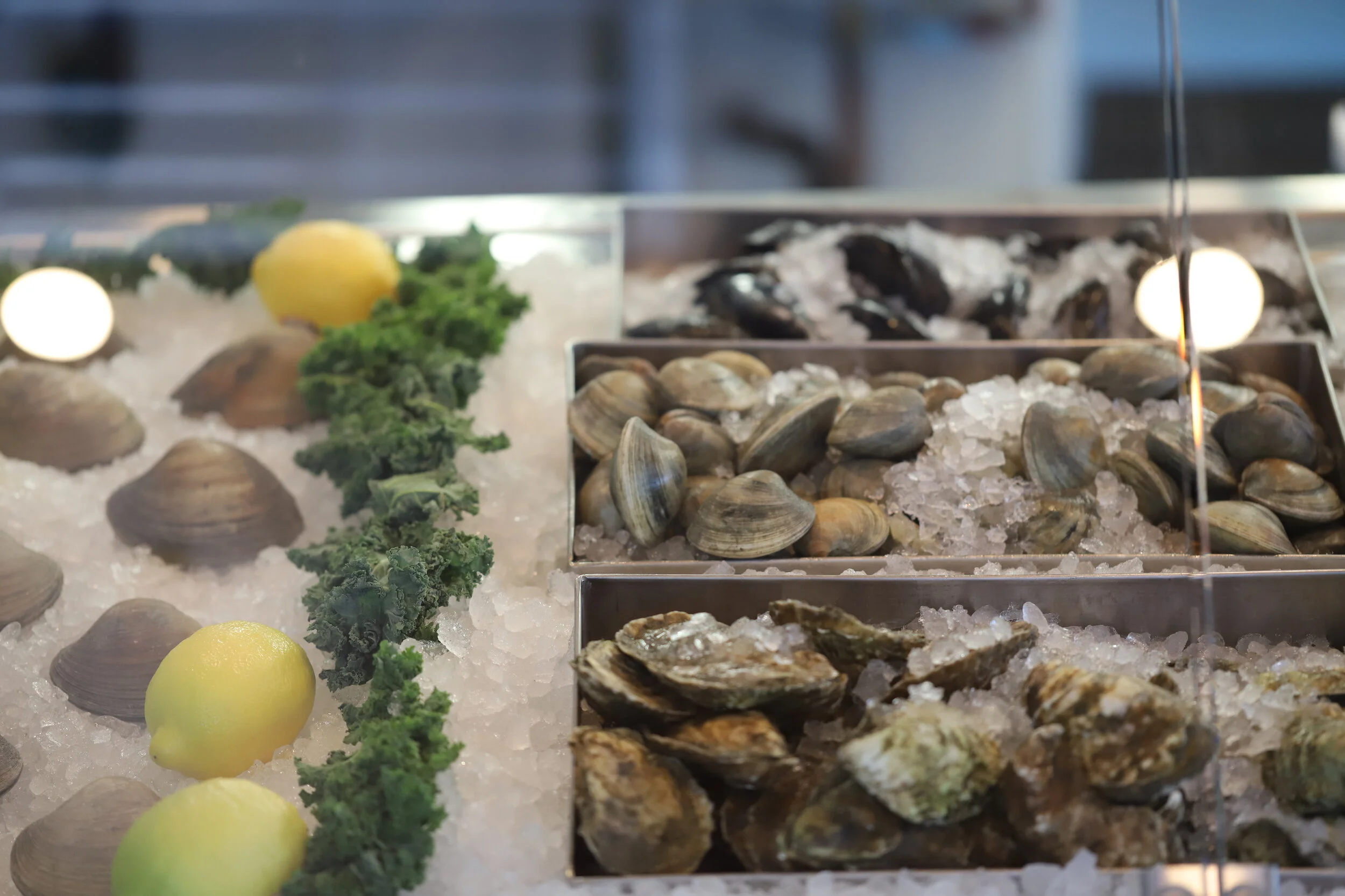 Hanover | Rocky Neck Fish