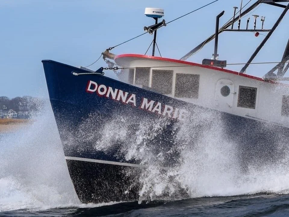 Our Products | Rocky Neck Fish