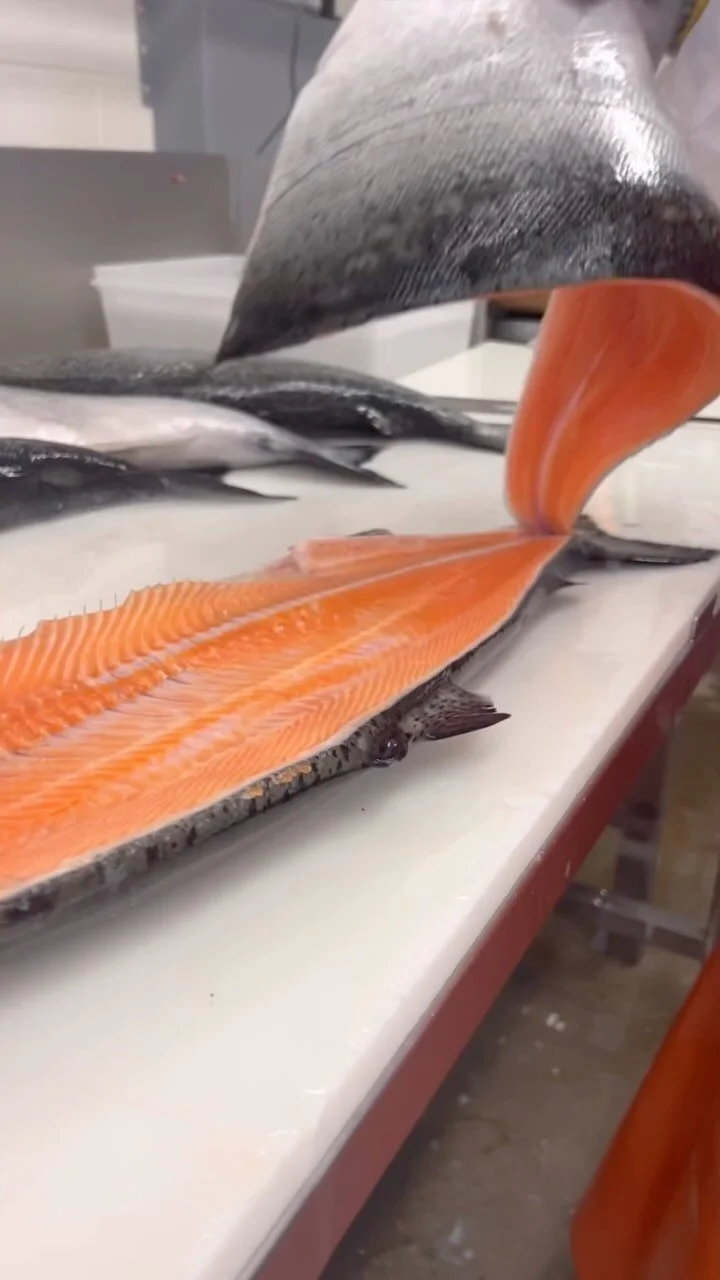 Rocky Neck Fish Company