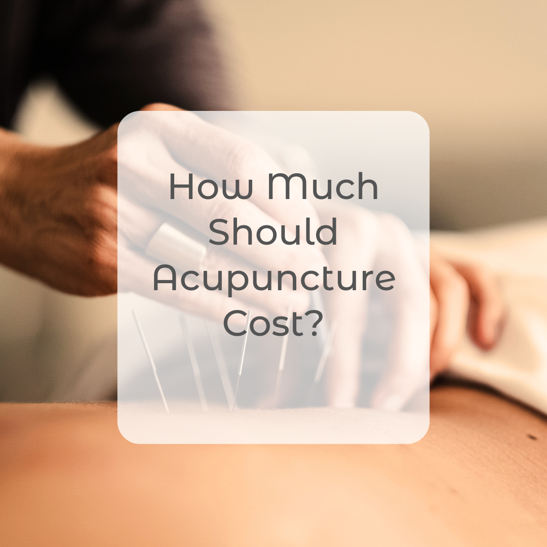 Acupuncture Clinic and Holistic Doctor in St. Petersburg, FL