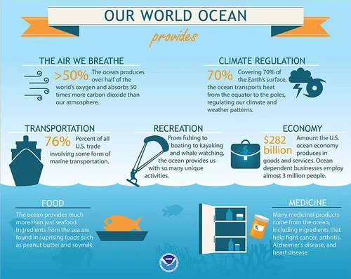 Healthy oceans for a healthy plannet: why ocean health is important for ...