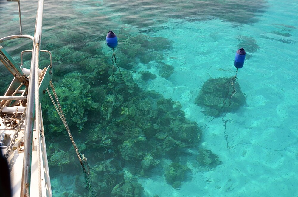 South Pacific anchoring: dealing with bommies — Sailing Totem