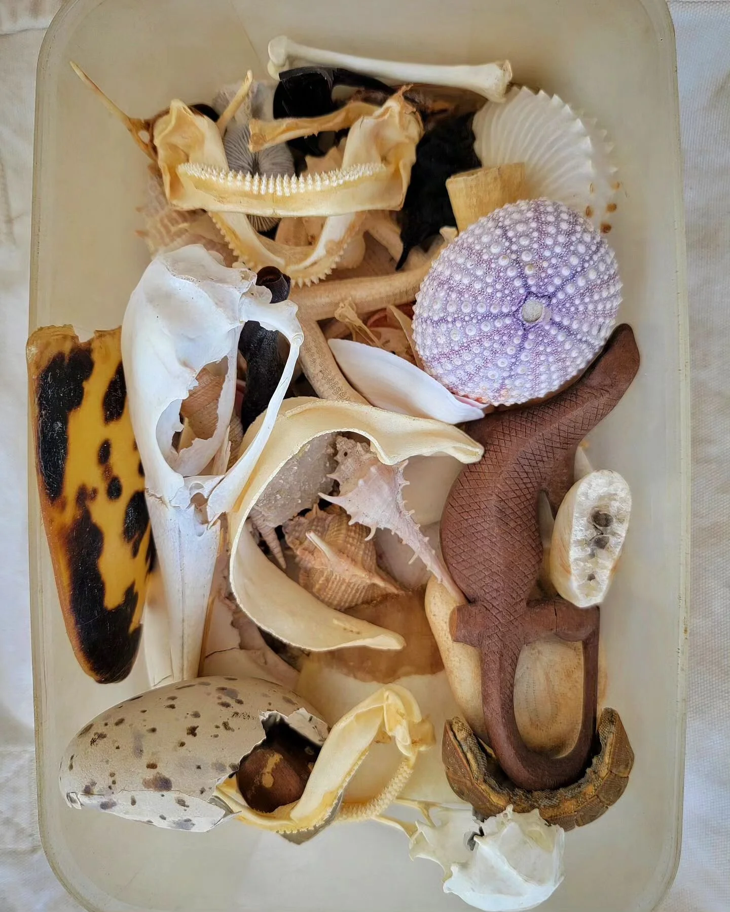 Courtesy flags: more than a courtesy? — Sailing Totem