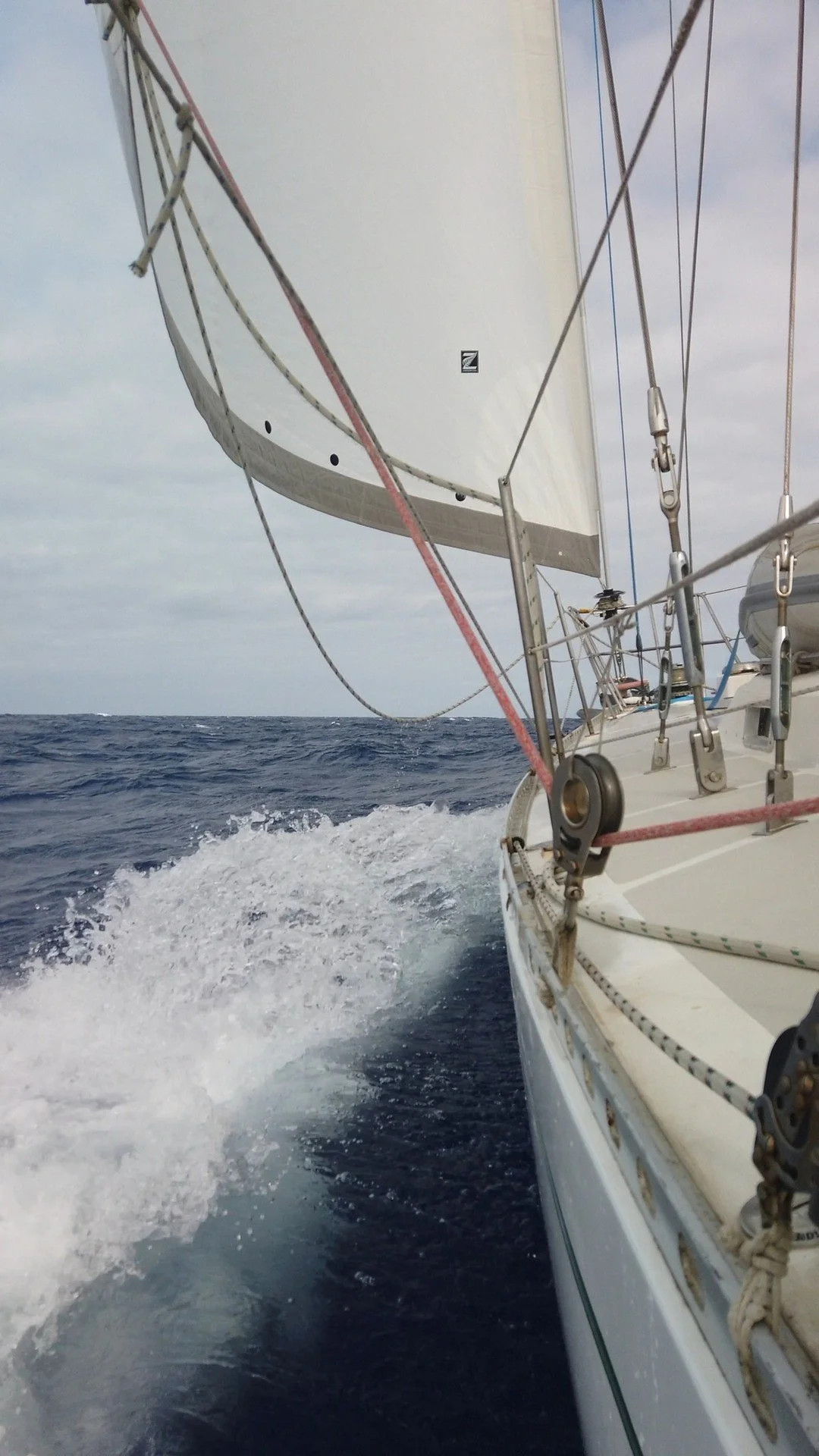 Thank You! — Sailing Totem