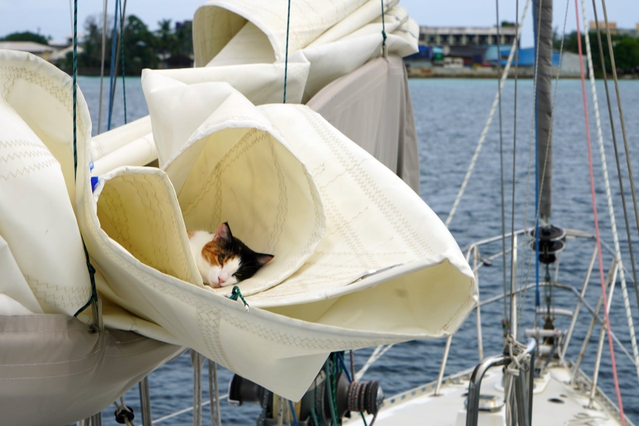 Snapshot of a cruising year — Sailing Totem