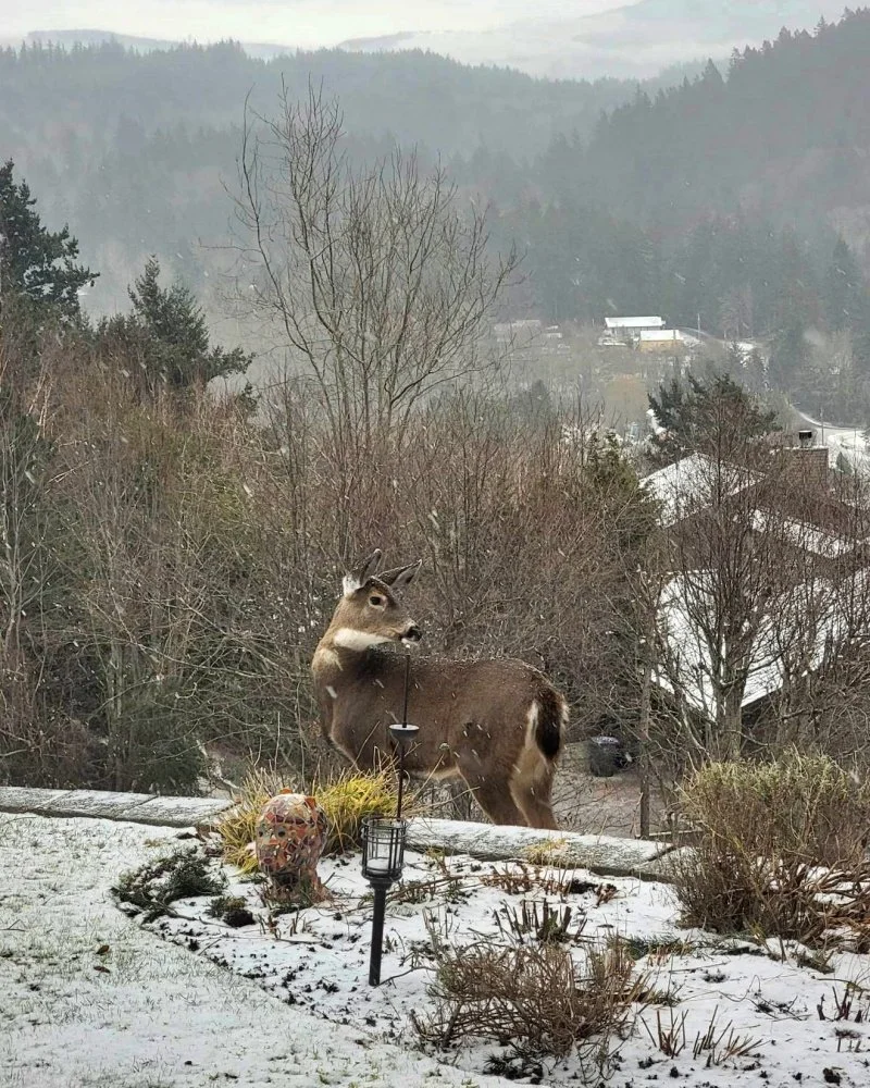 Holiday traditions: Totem’s sun bread recipe for Solstice — Sailing Totem