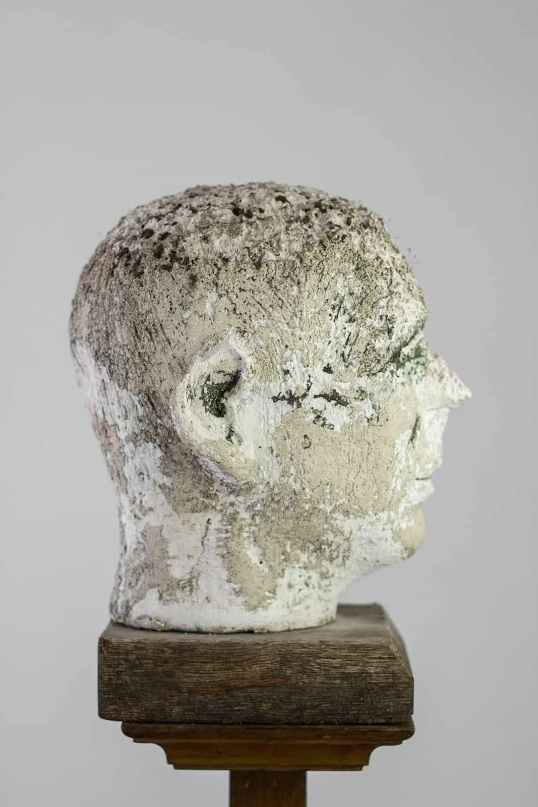 Male Plaster Head Bust — Antiques Workshop | Exceptional Vintage ...