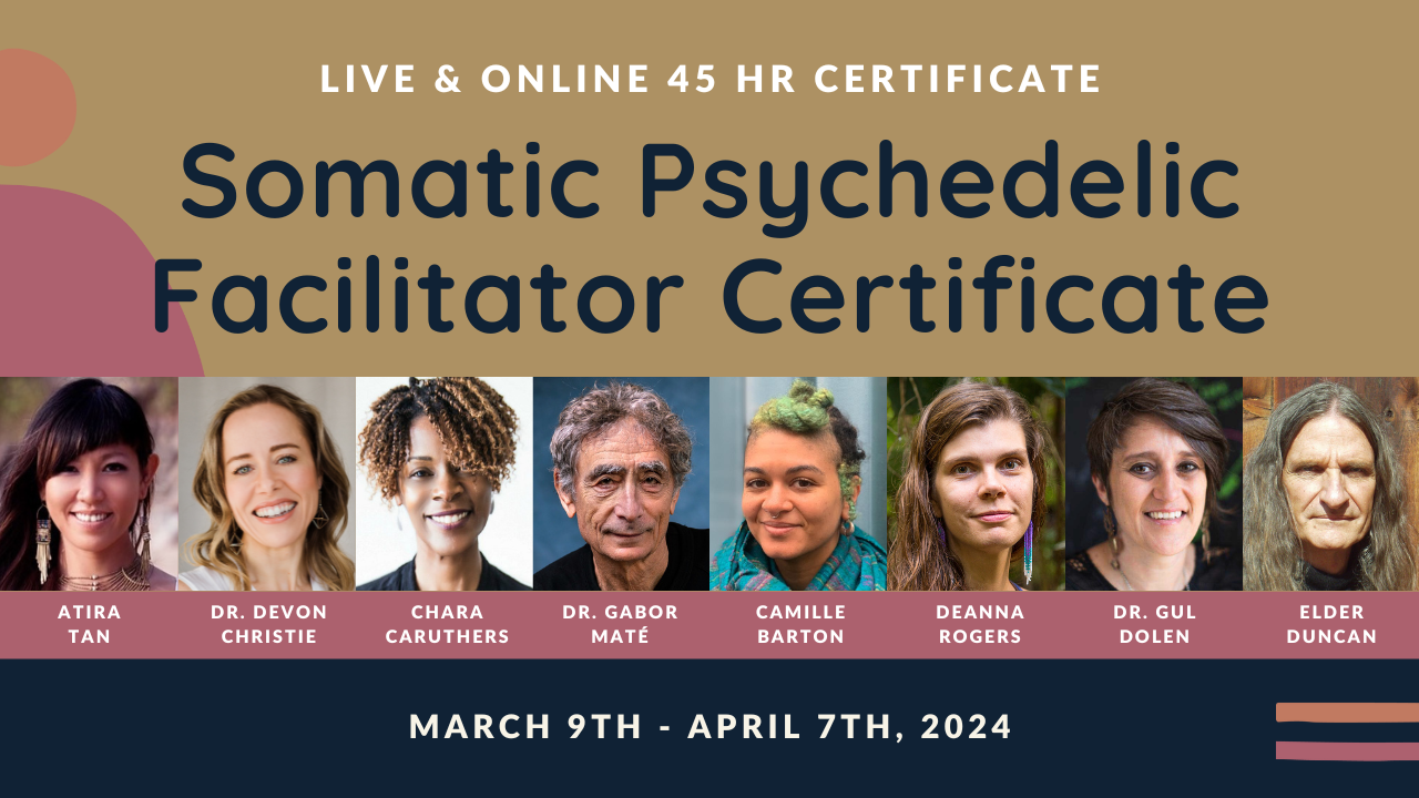 Somatic Psychedelic Facilitator Certificate Information Session | THE EMBODY LAB