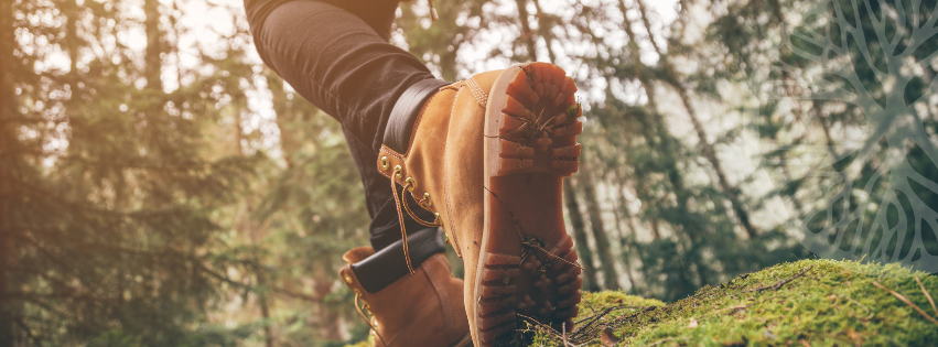 Next Step — Wellness in the Woods | Mental Health Advocacy