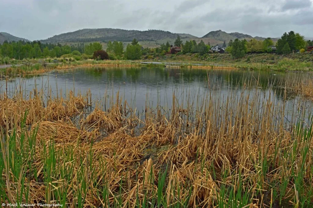 Weekly Trail Highlight: Crystal Peak Park — One Truckee River