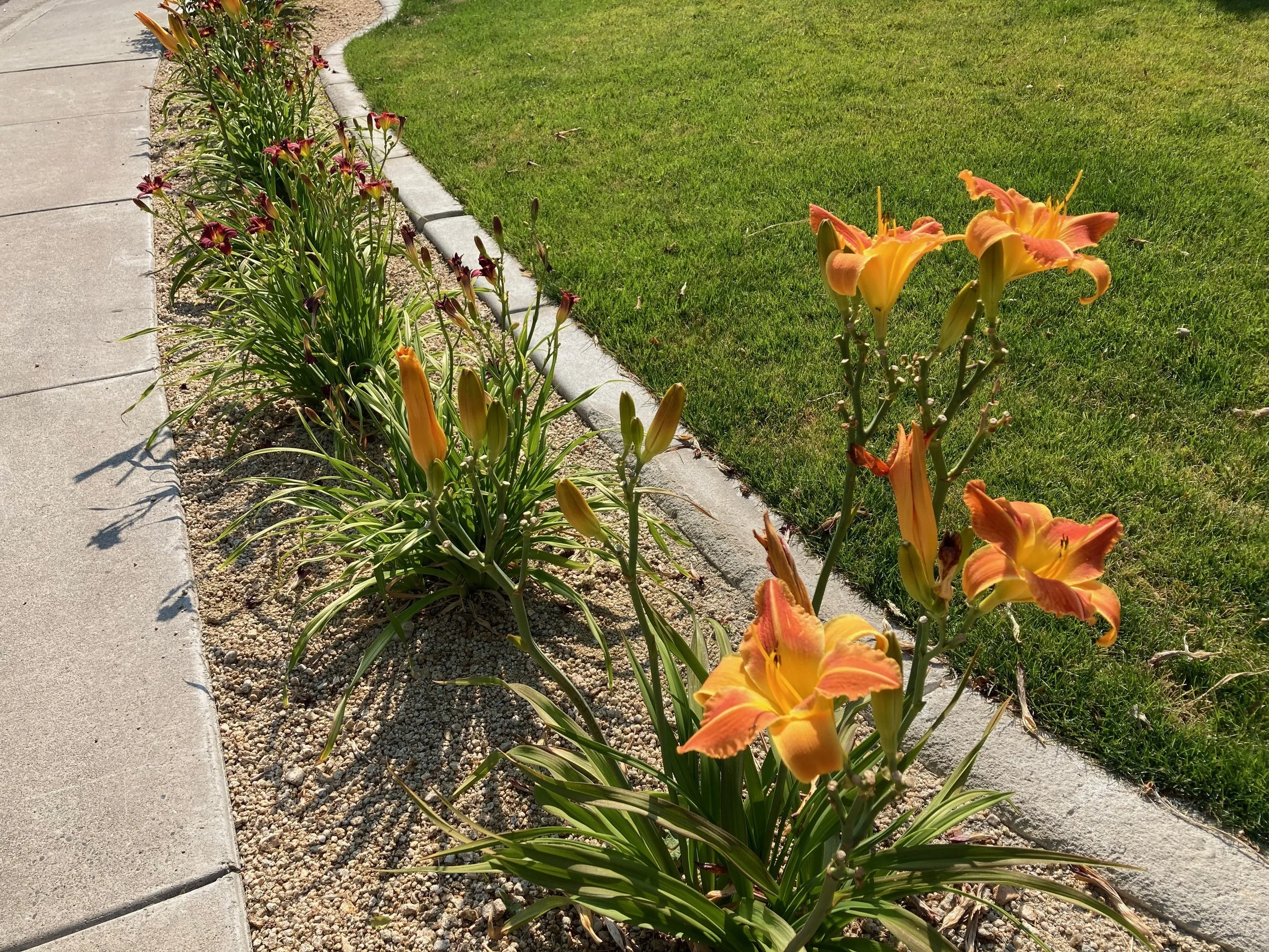 Yard Design Templates — One Truckee River