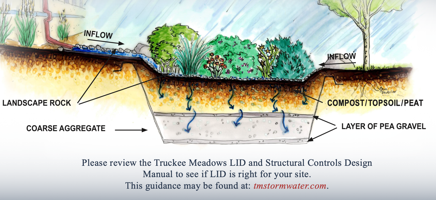 How to Design and Install a Mini Meadow — One Truckee River